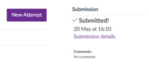 Student Guide: How to submit a video assignment – Getting Started with ...